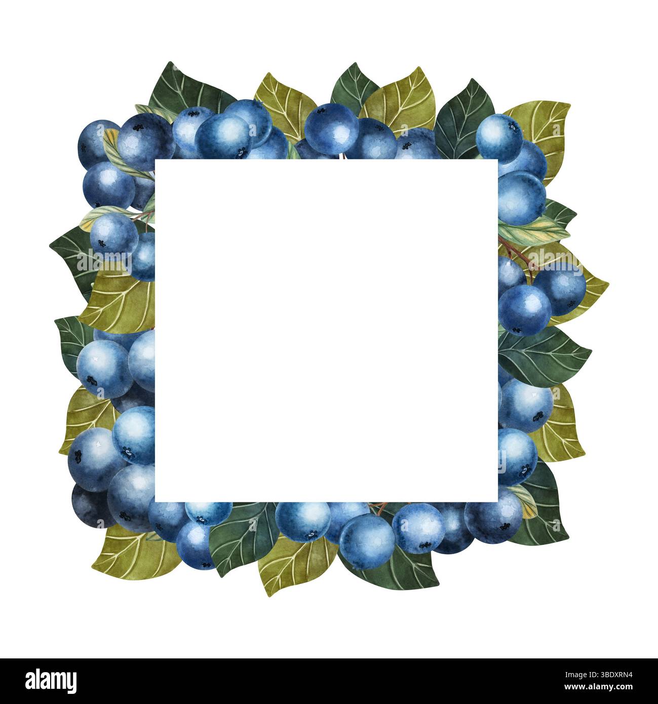 Floral frame illustrated Cut Out Stock Images & Pictures - Alamy