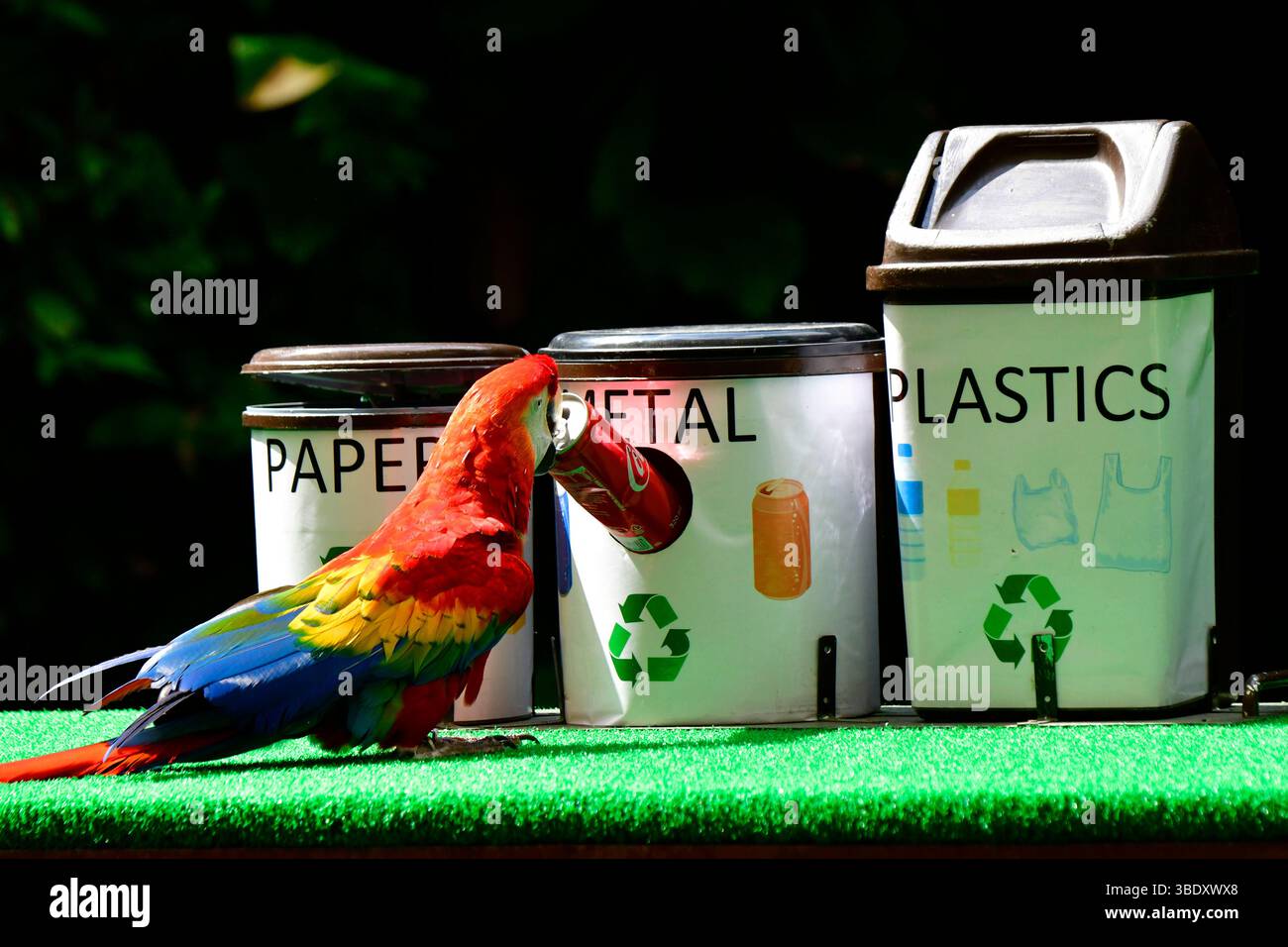 Bird show at Jurong bird park in Singapore,Asia Stock Photo - Alamy