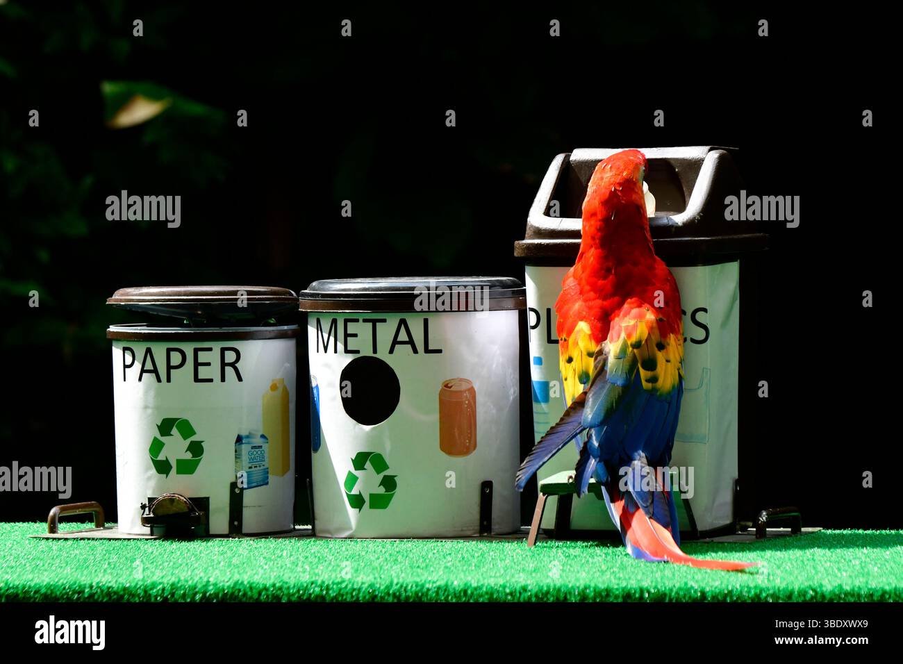 Bird show at Jurong bird park in Singapore,Asia Stock Photo - Alamy