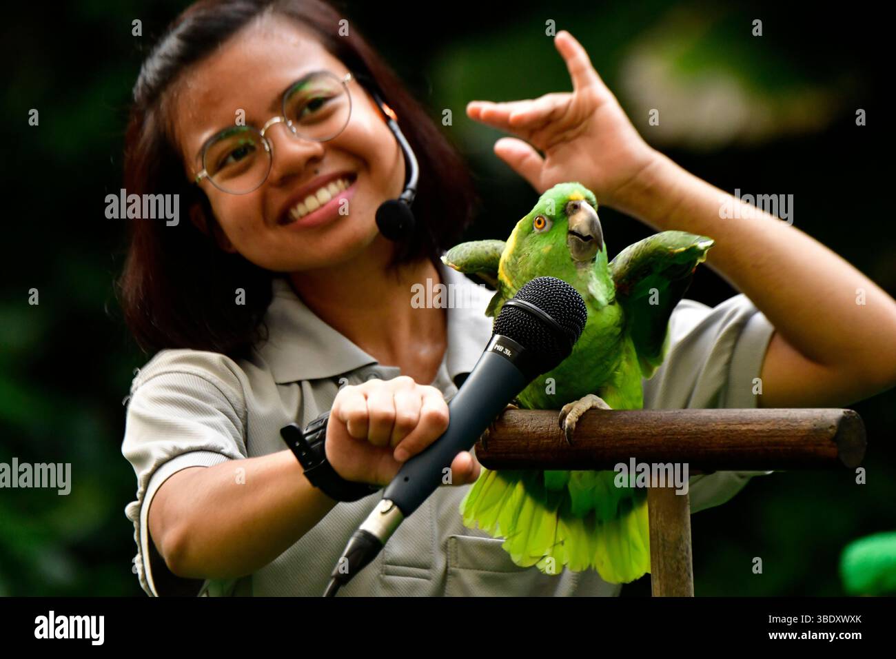 Bird show at Jurong bird park in Singapore,Asia Stock Photo - Alamy