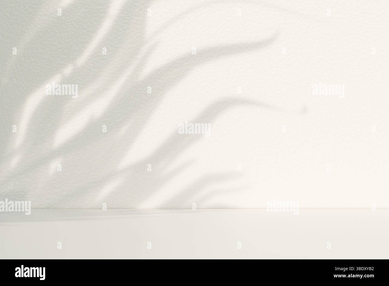 Soft shadow of plant leaves cast on a white wall, creating a calm and ...