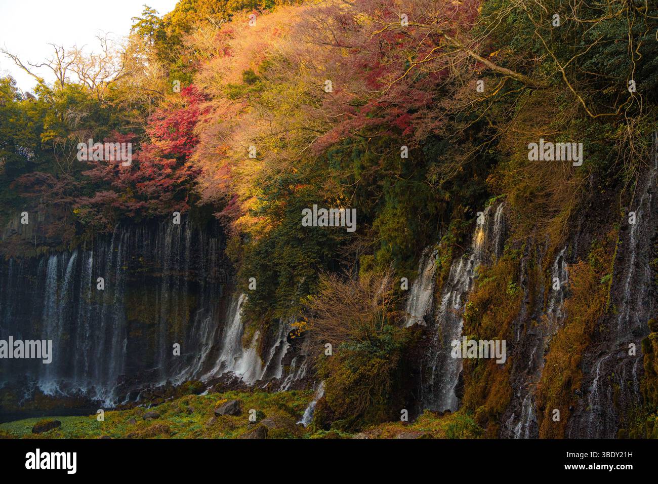 Beautiful Shiraito Falls in Fujinomiya, Japan, where multiple streams ...