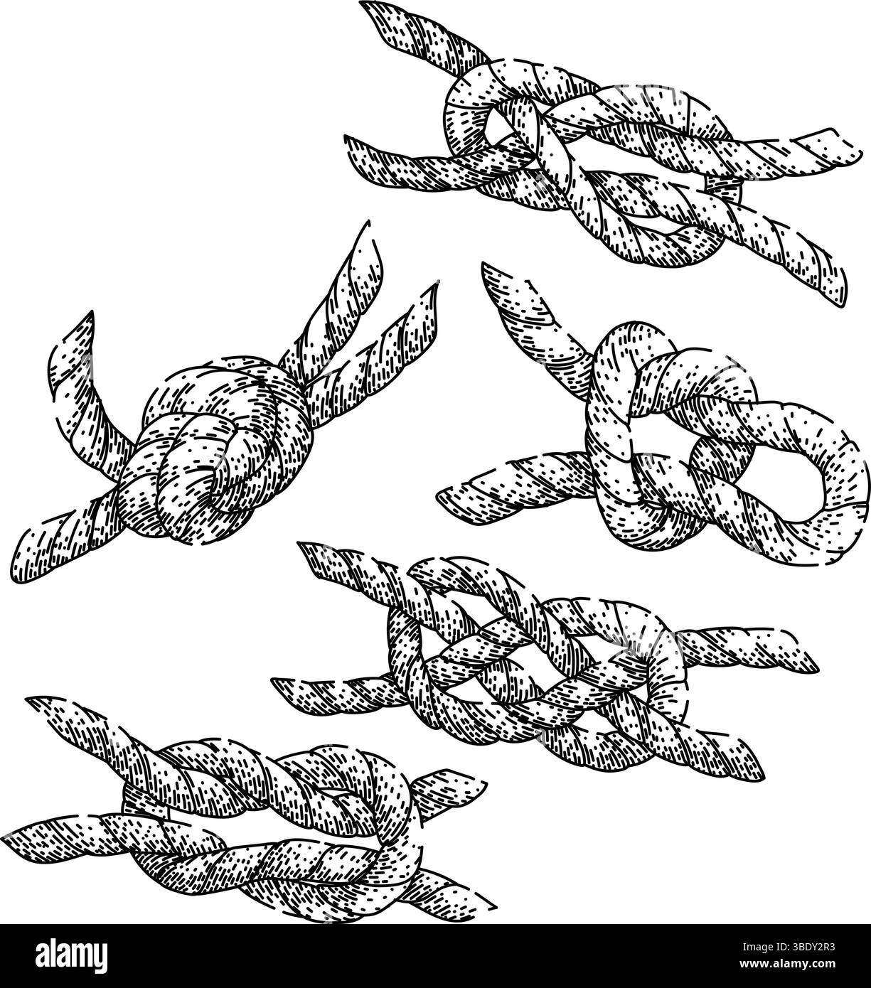 rope knot set sketch hand drawn vector Stock Vector Image & Art - Alamy