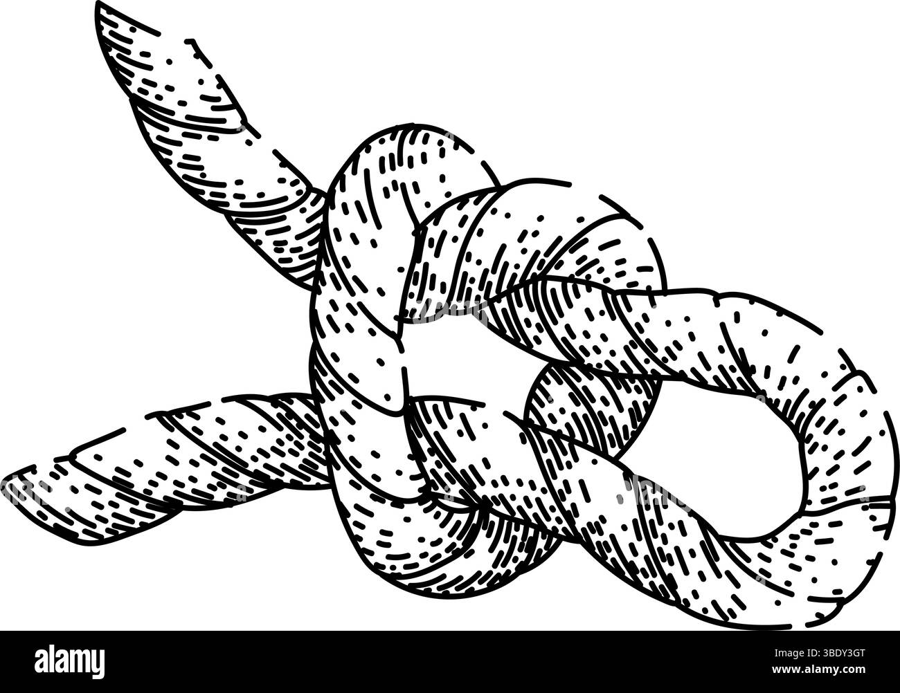 hitch rope knot sketch hand drawn vector Stock Vector Image & Art - Alamy