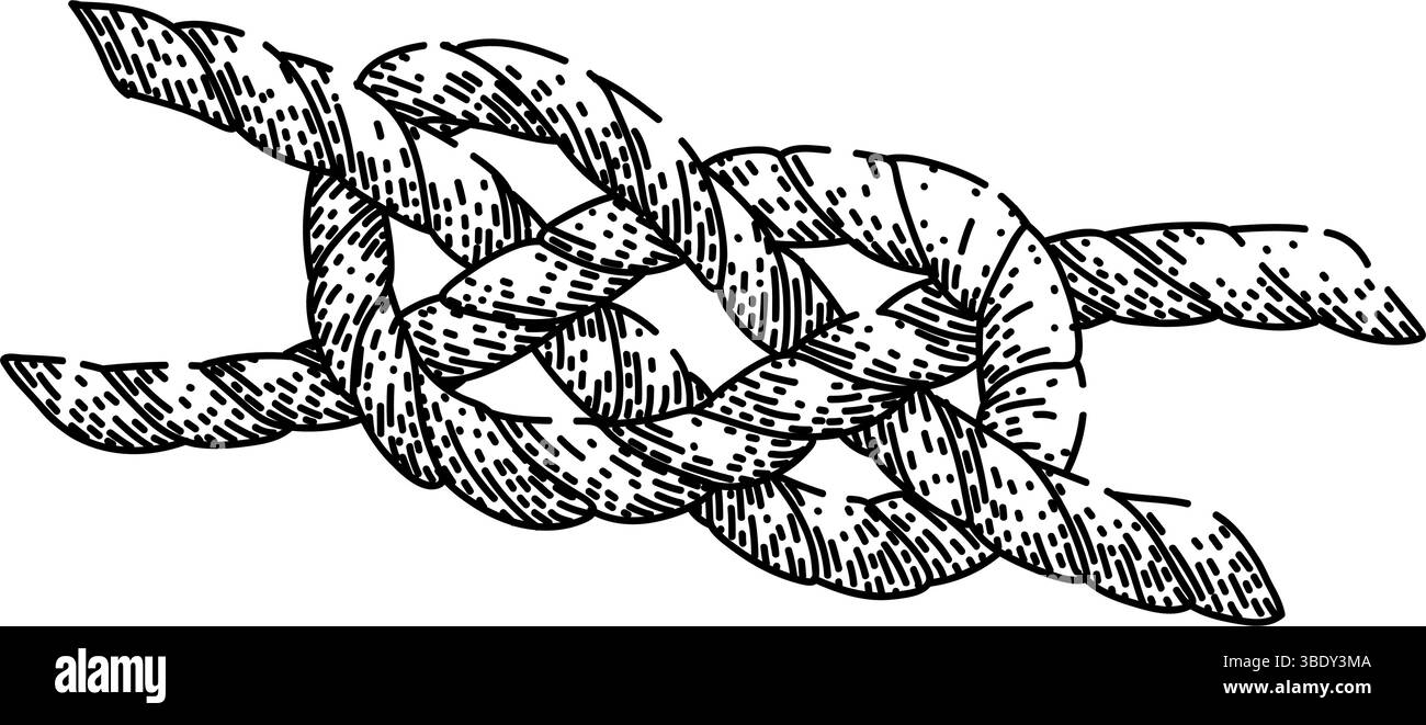 reef rope knot sketch hand drawn vector Stock Vector Image & Art - Alamy