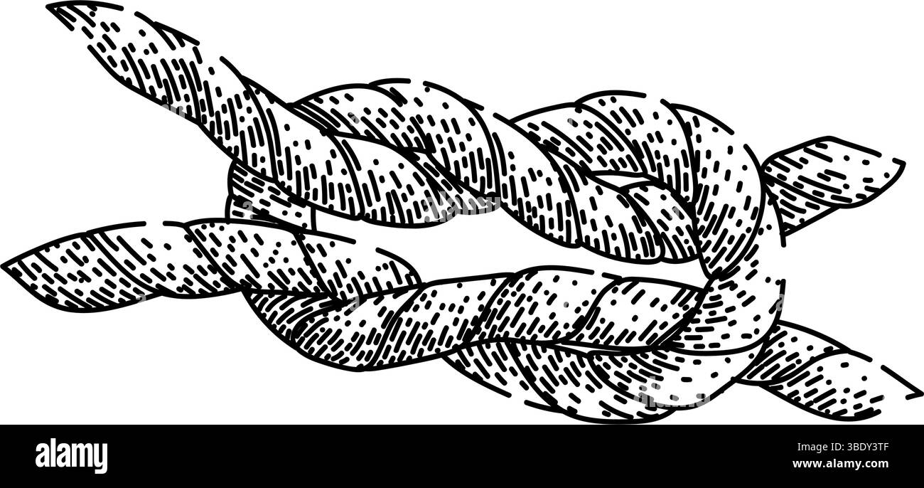 sheet rope knot sketch hand drawn vector Stock Vector Image & Art - Alamy