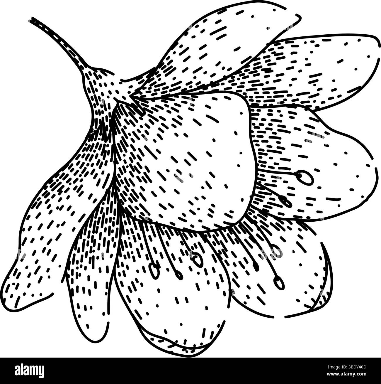 Scenic sakura japan Stock Vector Images - Alamy