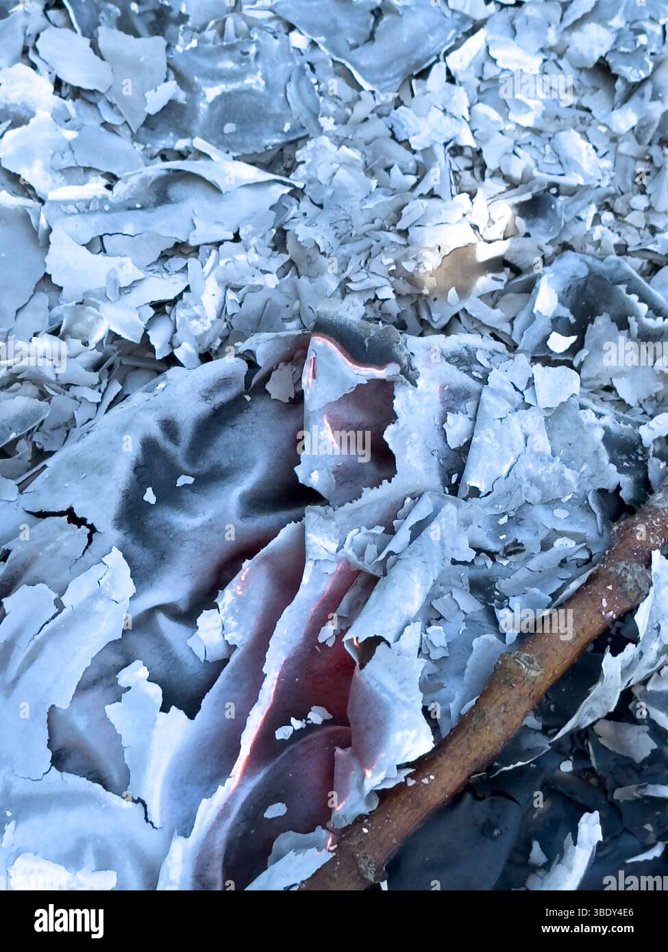 The texture is white gray ash from burnt leaves on the ground. Natural ...