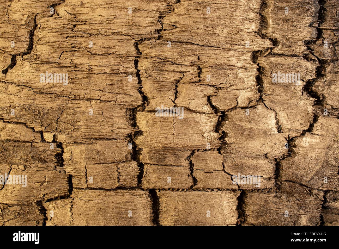 Golden scorched texture surface, abstract minimal backdrop Stock Photo ...