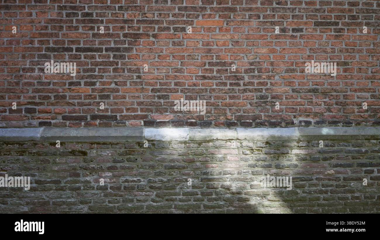 Rough bumpy wall texture casting hi-res stock photography and images ...