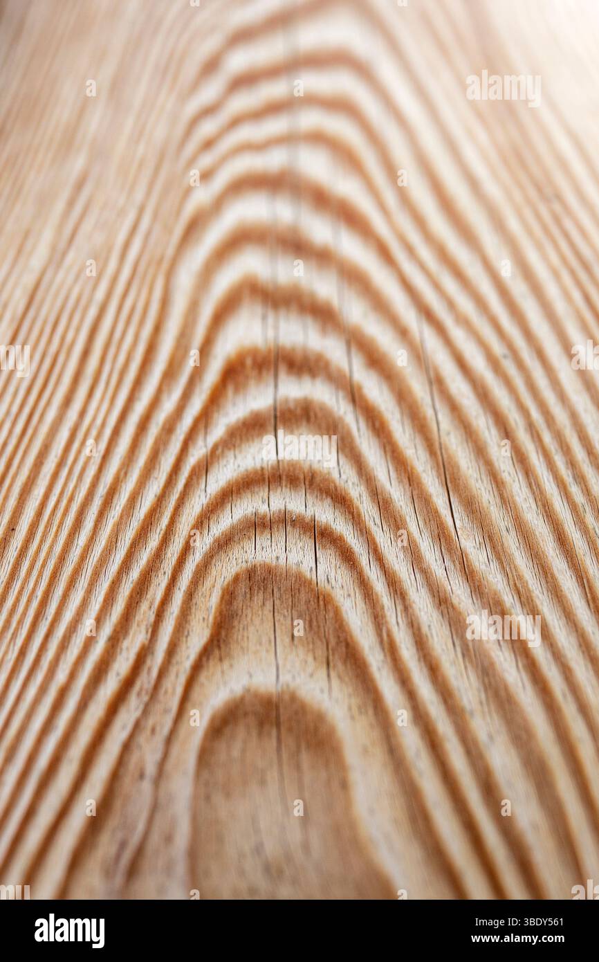 Parallel wood grain veins on a wooden board, side view perspective soft ...