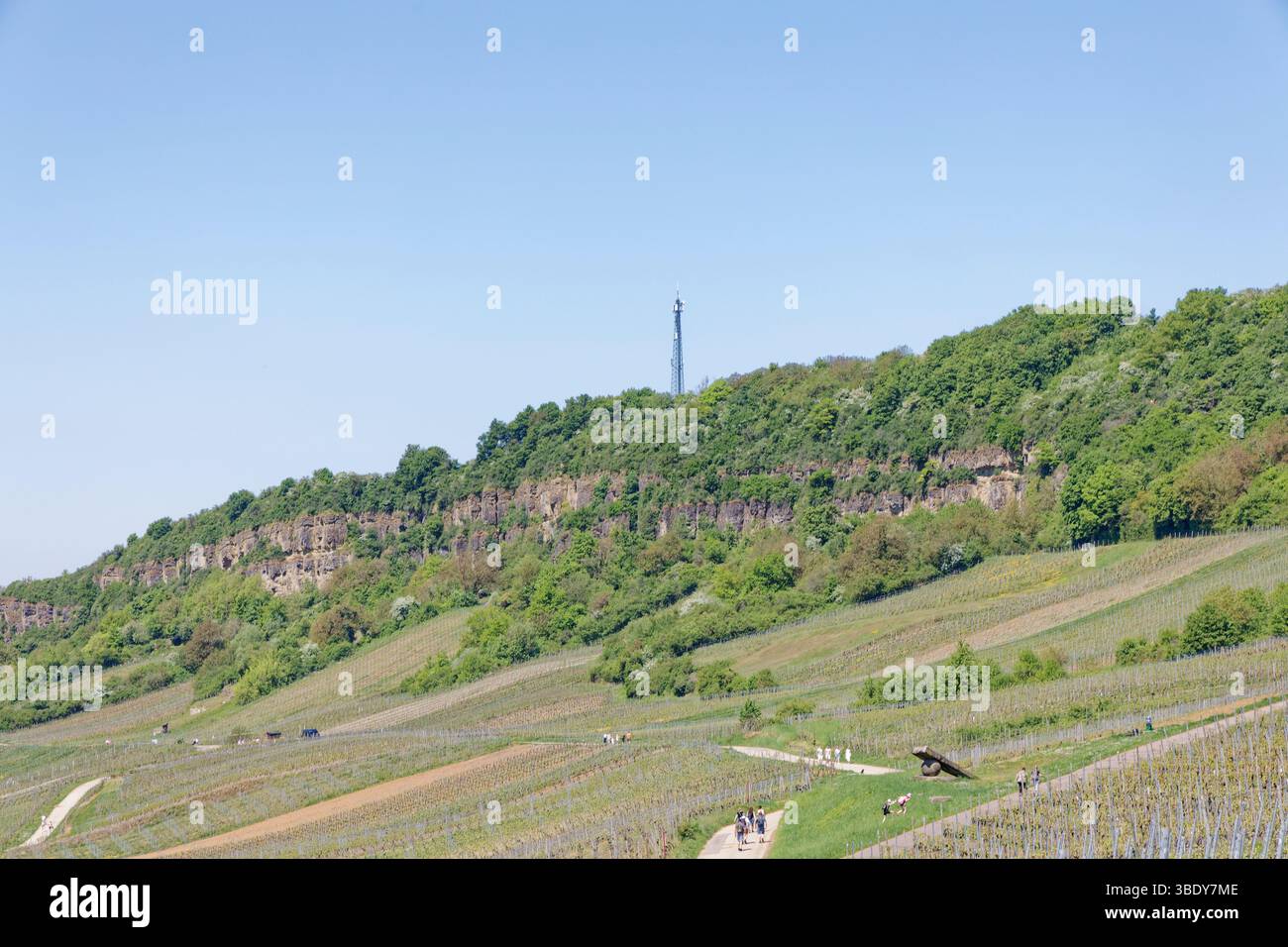 Idyllic landscape with vineyards and the cliffs above Nittel (Rhineland ...