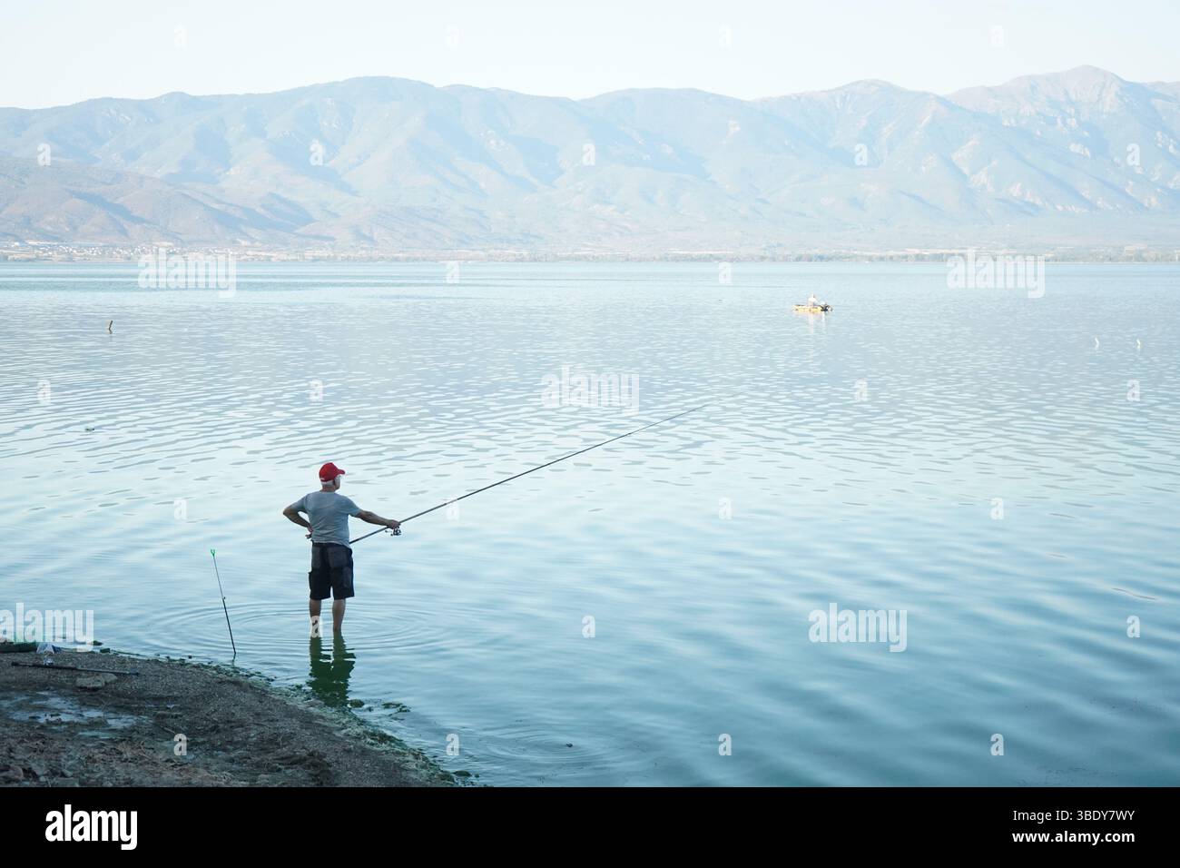 Teal carp hi-res stock photography and images - Alamy