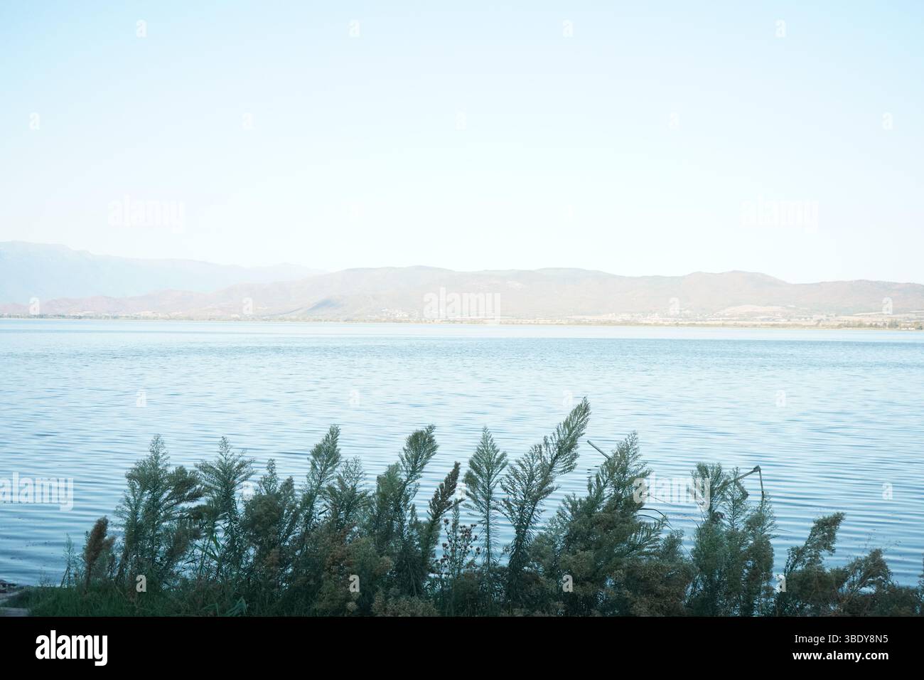 Light grayish blue water hi-res stock photography and images - Alamy