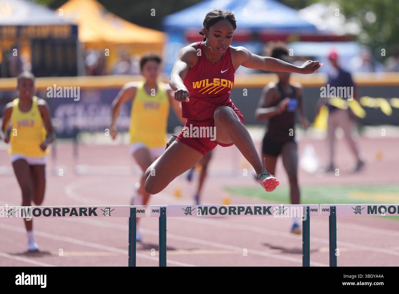 Kaylin Edwards of Long Beach Wilson wins the girls 300m hurdles in 41. ...