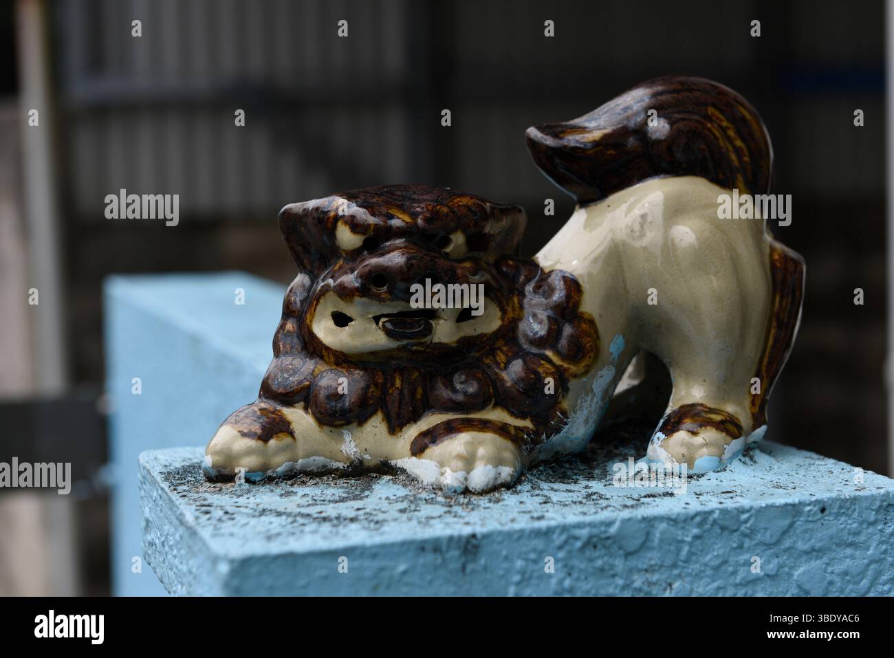 Shisa lion statue to protect the house from the bad spirits,Yaeyama ...