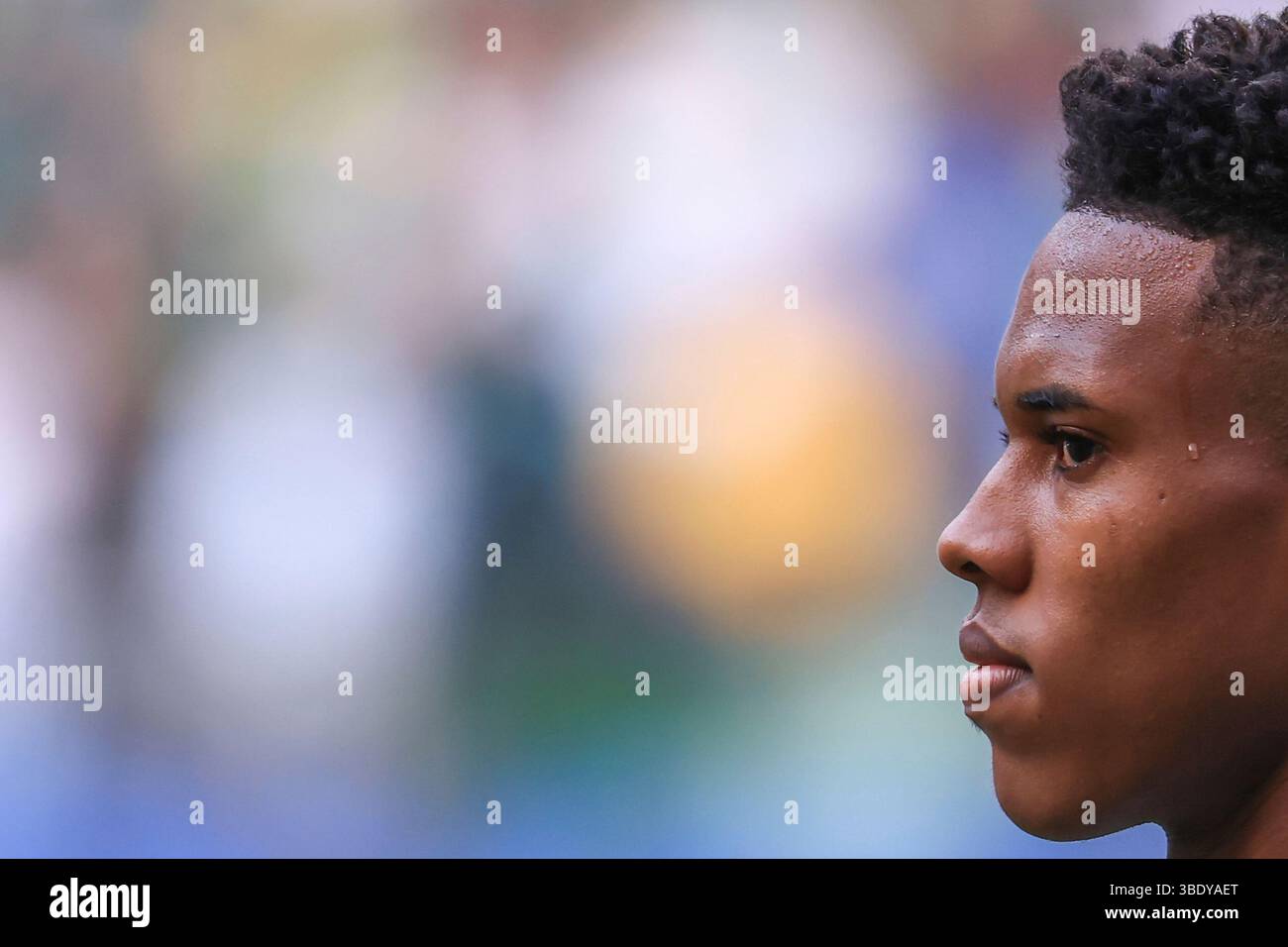 SP - SAO PAULO - 05/25/2025 - BRAZILIAN A 2025, PALMEIRAS x FLAMENGO ...