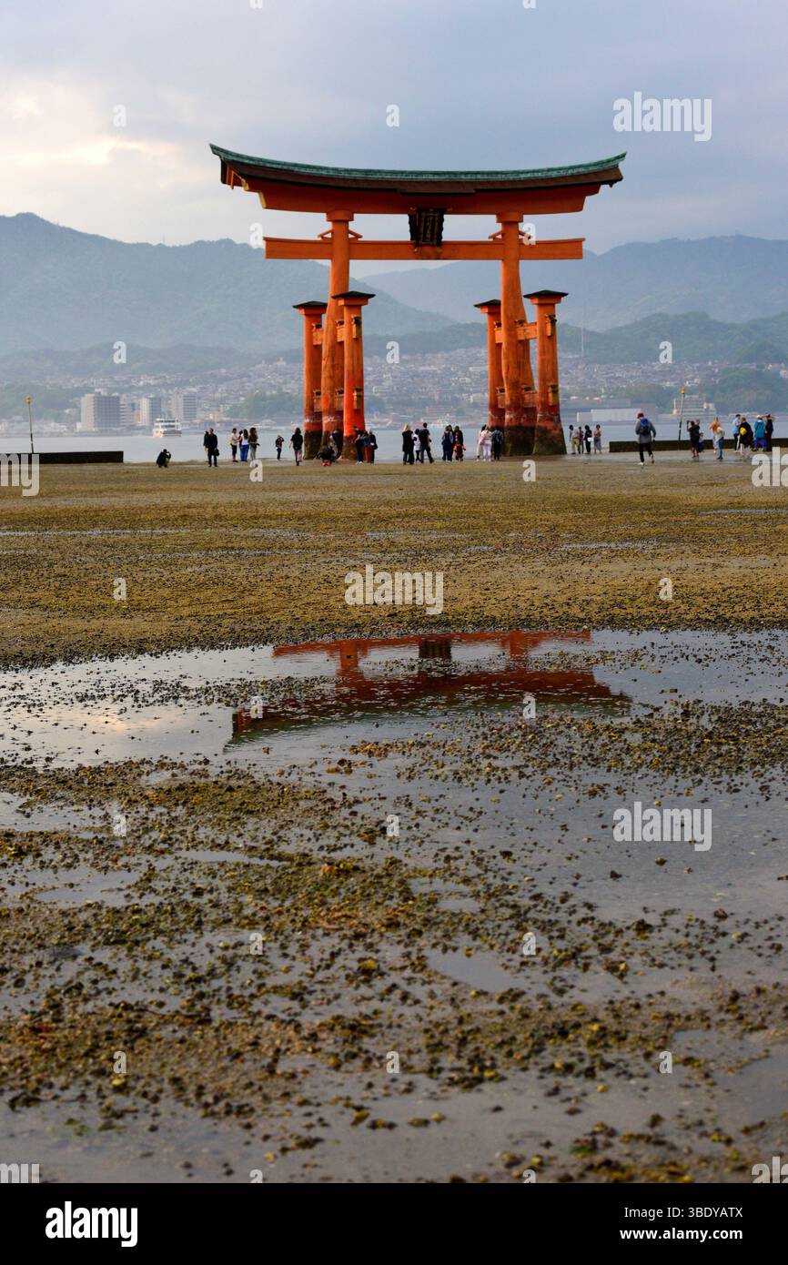 The floating Miyajima torii gate of Itsukushima Shrine, UNESCO ...