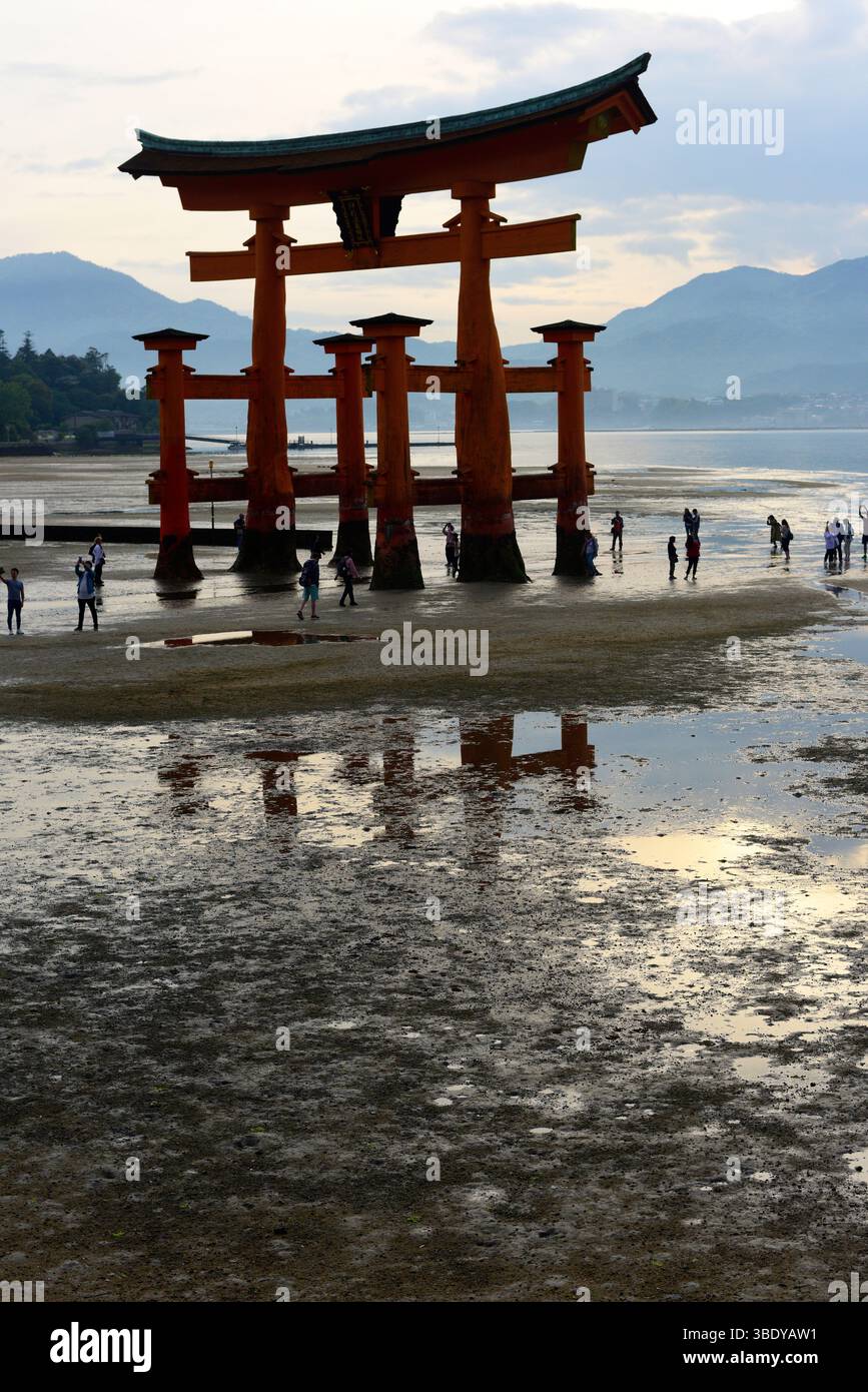The floating Miyajima torii gate of Itsukushima Shrine at dusk,Miyajima ...