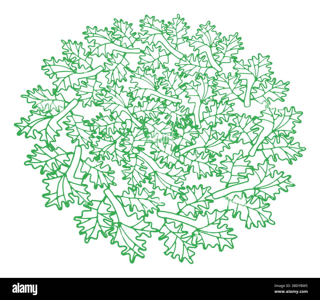 Harmonious nature pattern Cut Out Stock Images & Pictures - Alamy