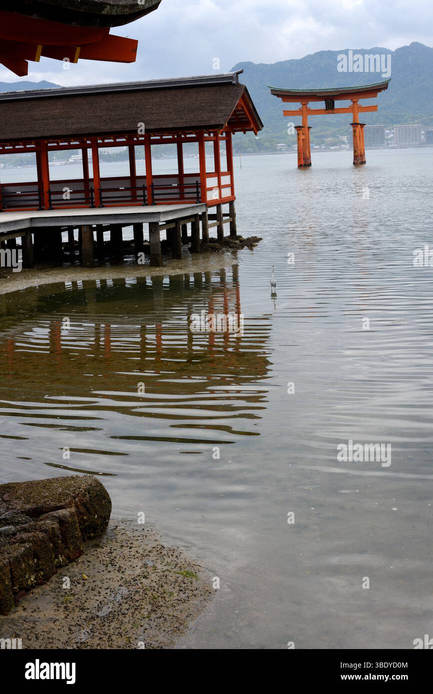 Floating Tori Gate at Itsukushima shrine in Miyajima island,Hiiroshima ...
