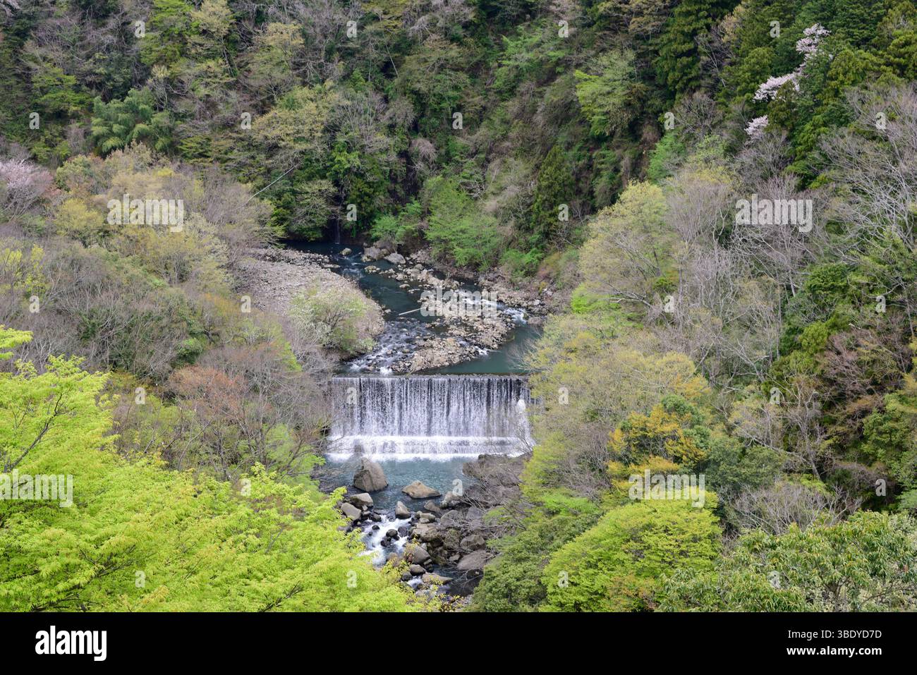 Fuji Hakone National Park,Kanagawa Prefecture,Honshu island,Japan,Asia ...