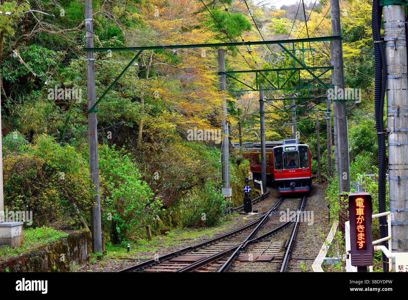 Train on the Hakone Tozan line,the mountain climbing railroad line in ...