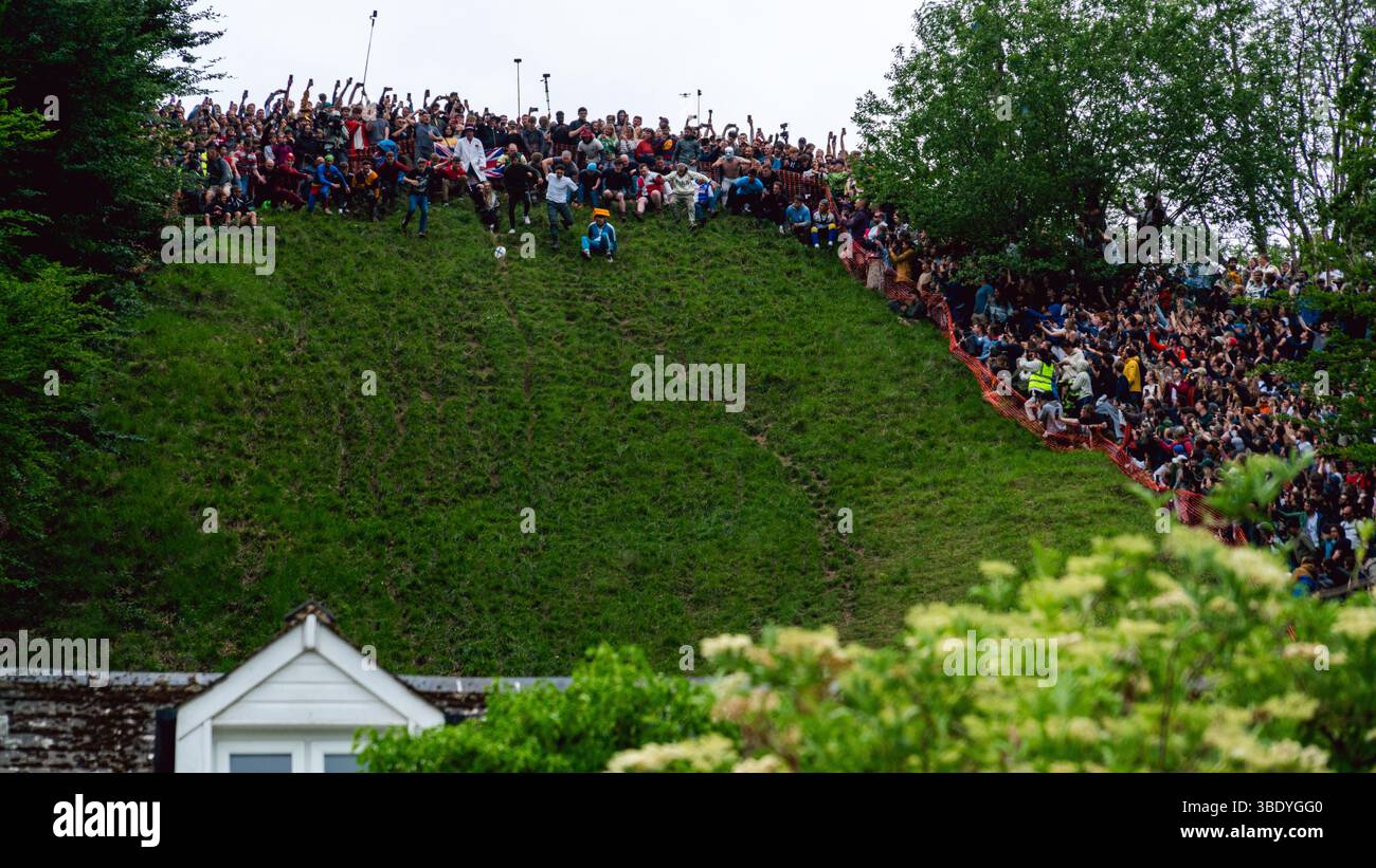 Annual Gloucestershire Cheese Rolling Race at Cooper's Hill on 26 May ...