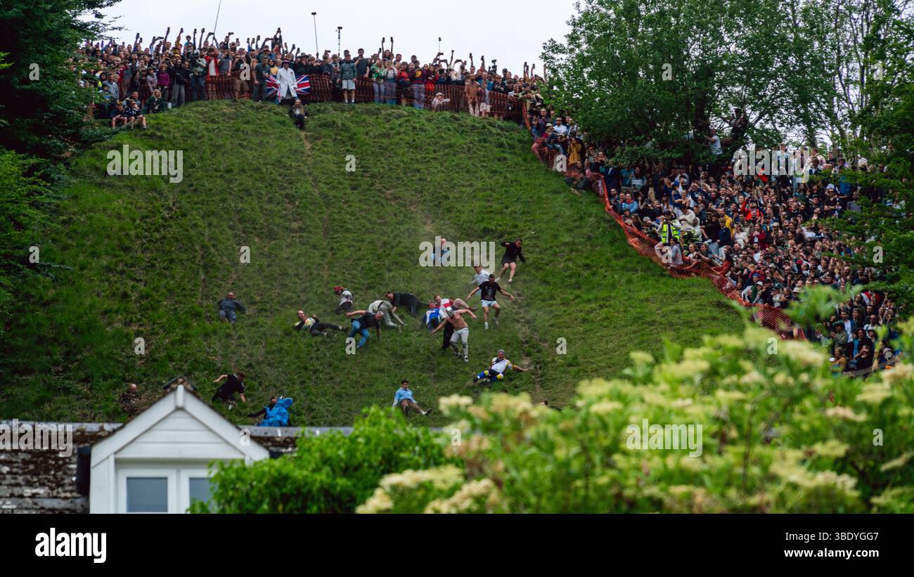 Annual Gloucestershire Cheese Rolling Race at Cooper's Hill on 26 May ...