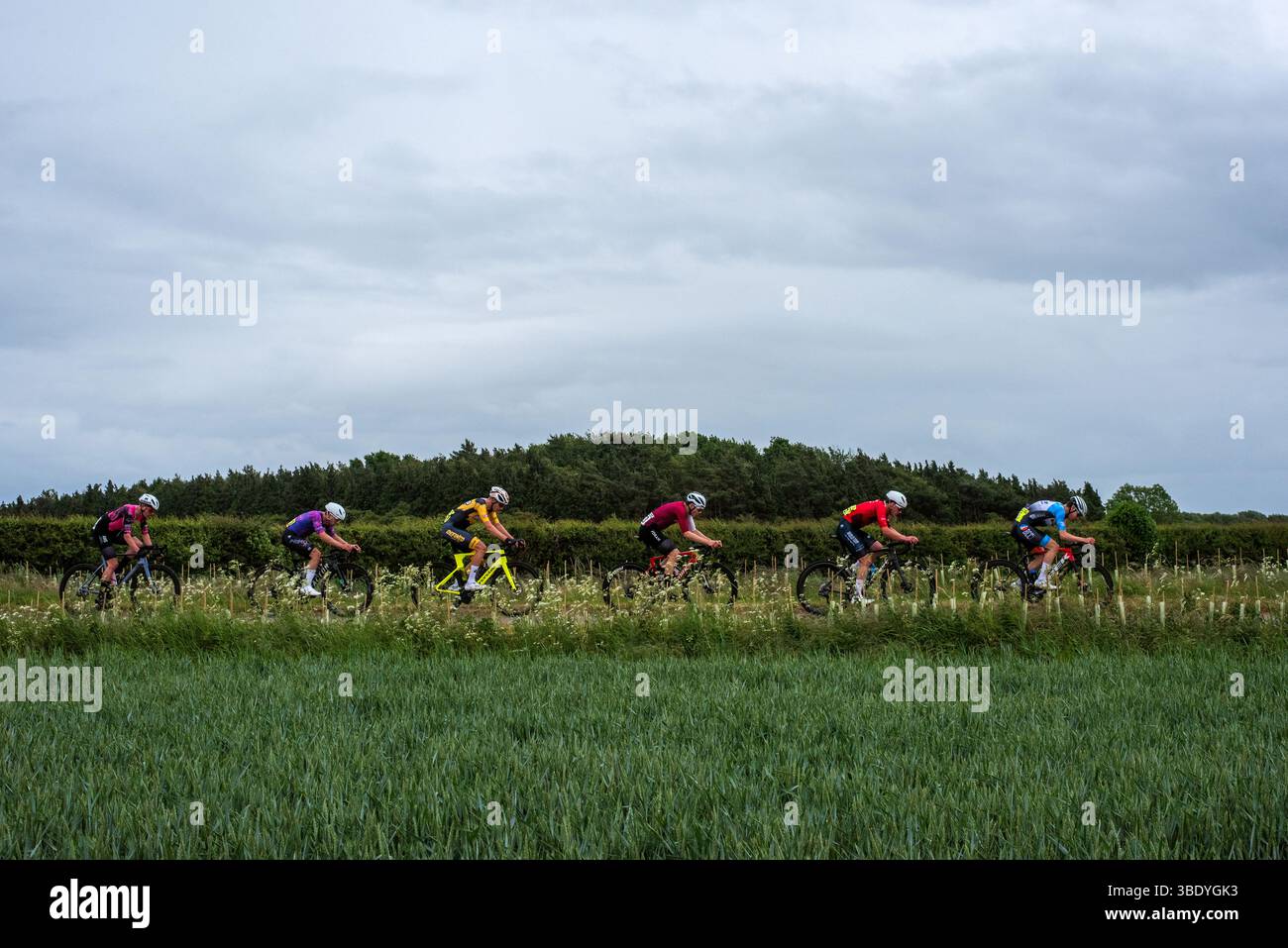 Grantham, Lincolnshire, UK. 26th May, 2025. Riders near Saltby during ...