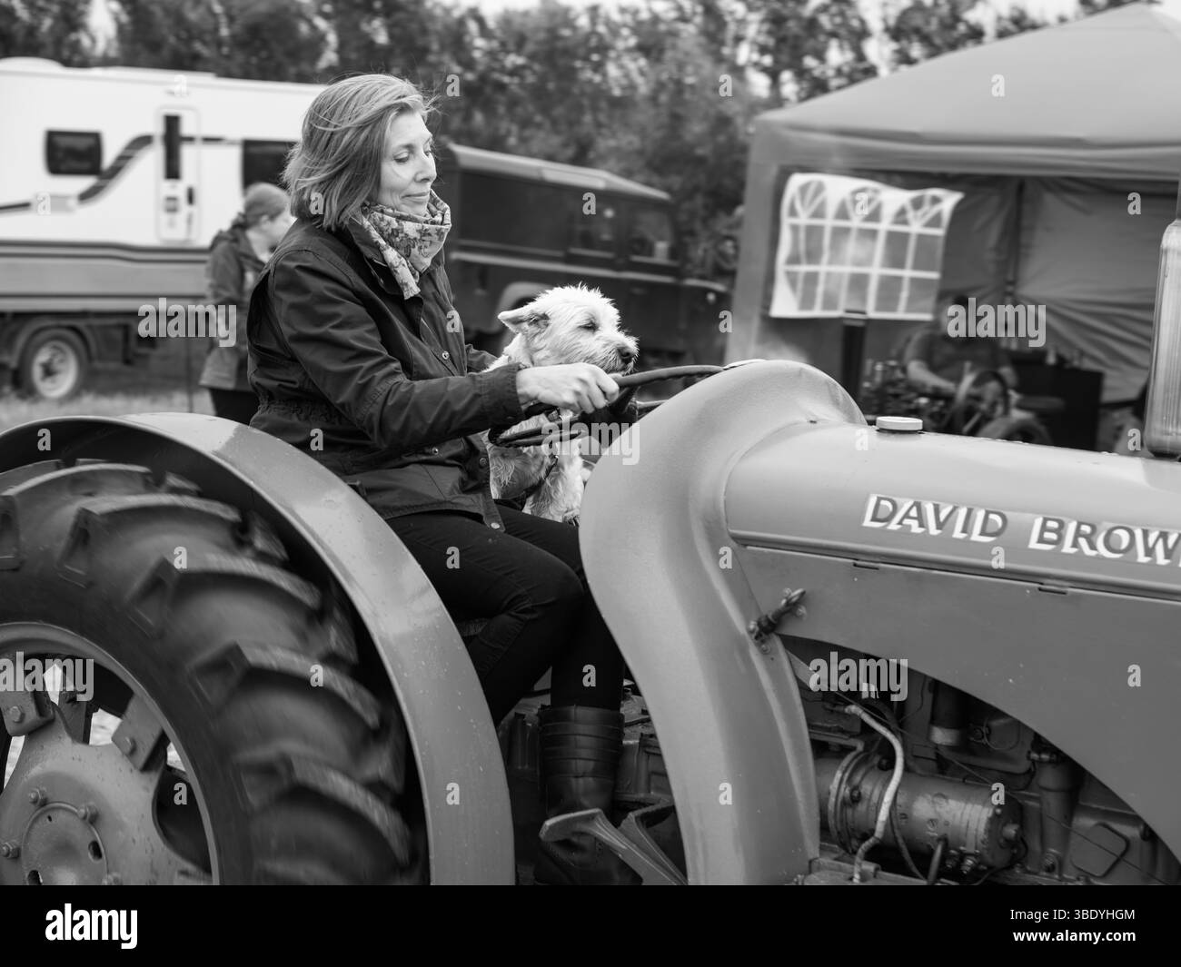 WOMAN AND DOG ON TRACTOR TREDINNICK STEAM ENGINES AND VINTAGE CLASSIC ...