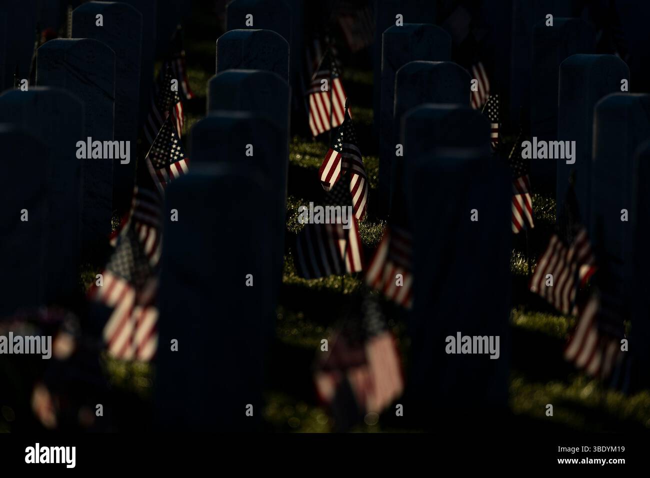 The sun shines on American flags during Memorial Day on Monday, May 26 ...