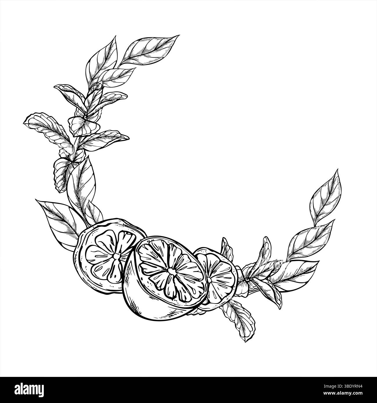 Fresh organic citrus fruits in Black and White Stock Photos & Images ...