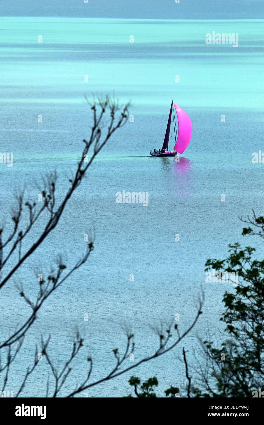 Sailboat with pink sail on calm turquoise water in springtime viewed ...