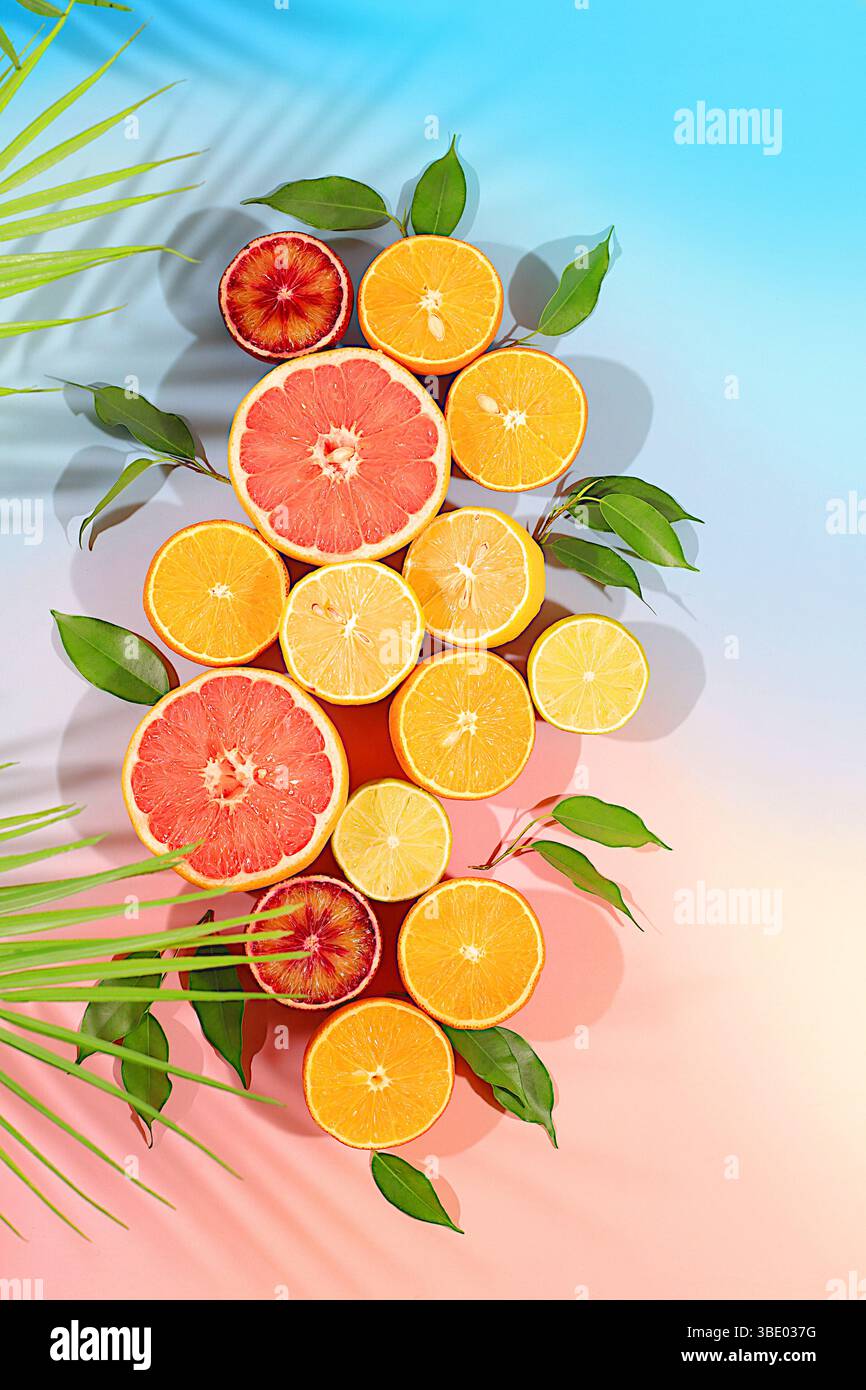 Tropical background with exotic fruits, fruit sunny banner. Summer in a ...