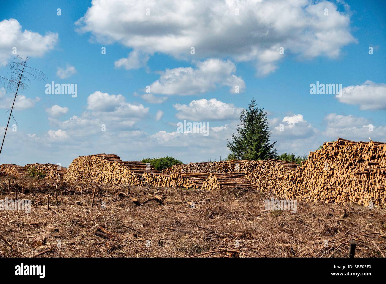 Sustainable land use ireland hi-res stock photography and images - Alamy