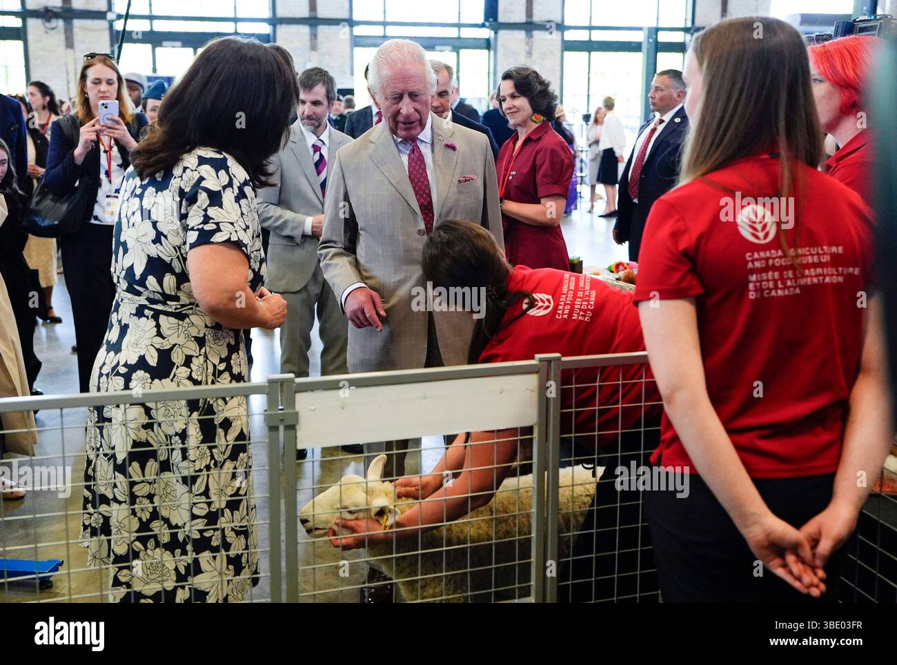 King Charles is shown a 3-month-old Rideau Arcott lamb from the ...