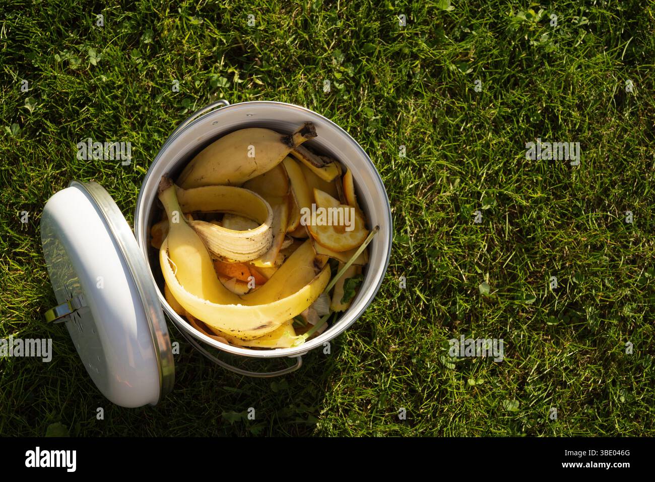 Metal compost bucket with peel vegetables making compost on green lawn ...