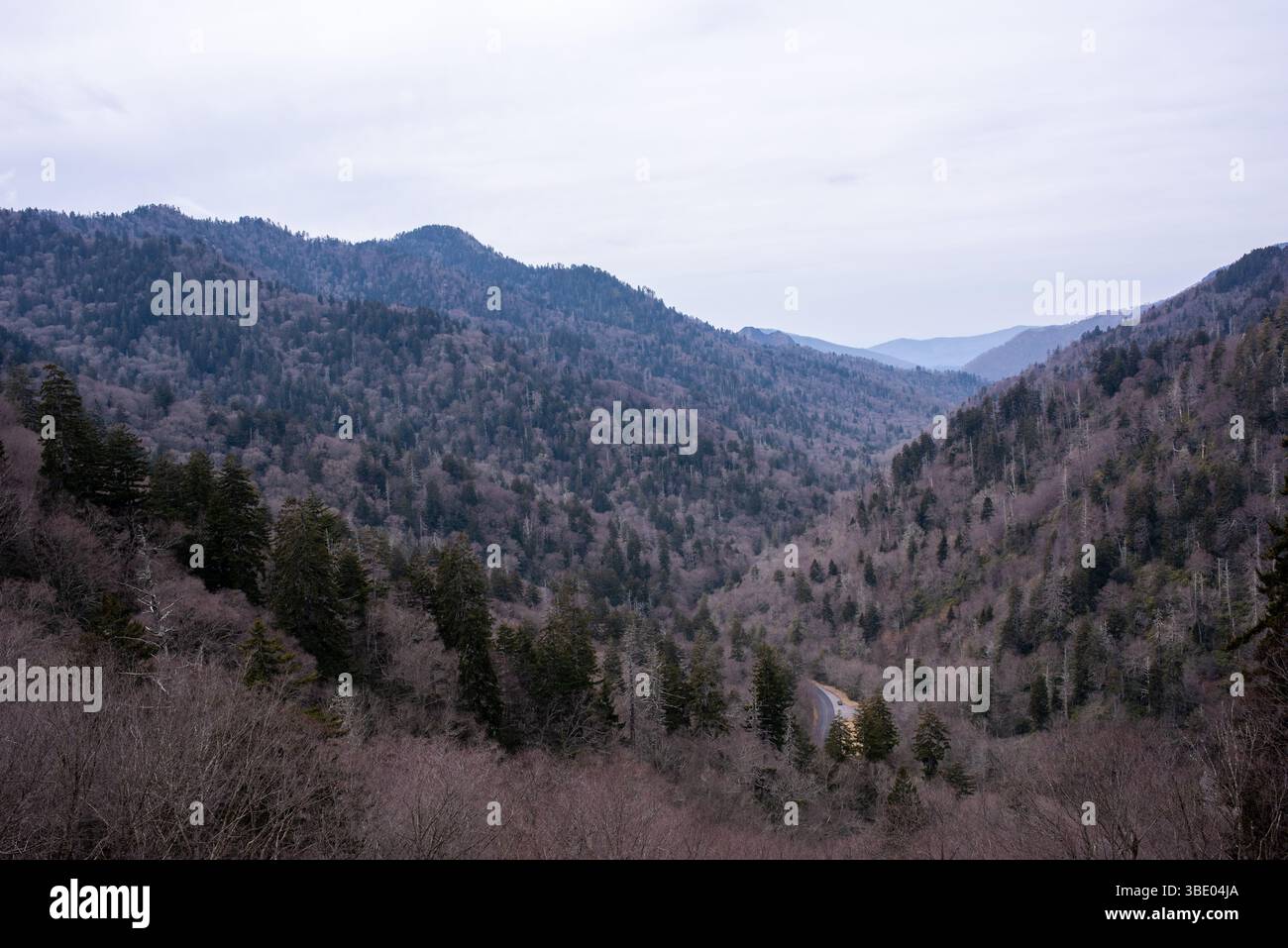 Scenes from the Ben Morton Overlook, Cades Cove, Great Smoky Mountains ...
