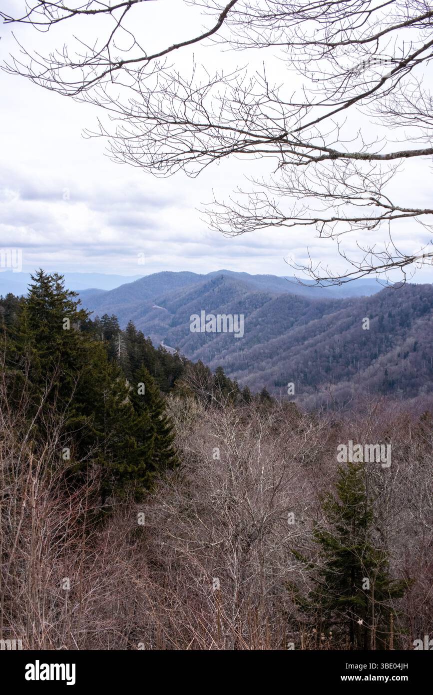 Scenes from the Ben Morton Overlook, Cades Cove, Great Smoky Mountains ...