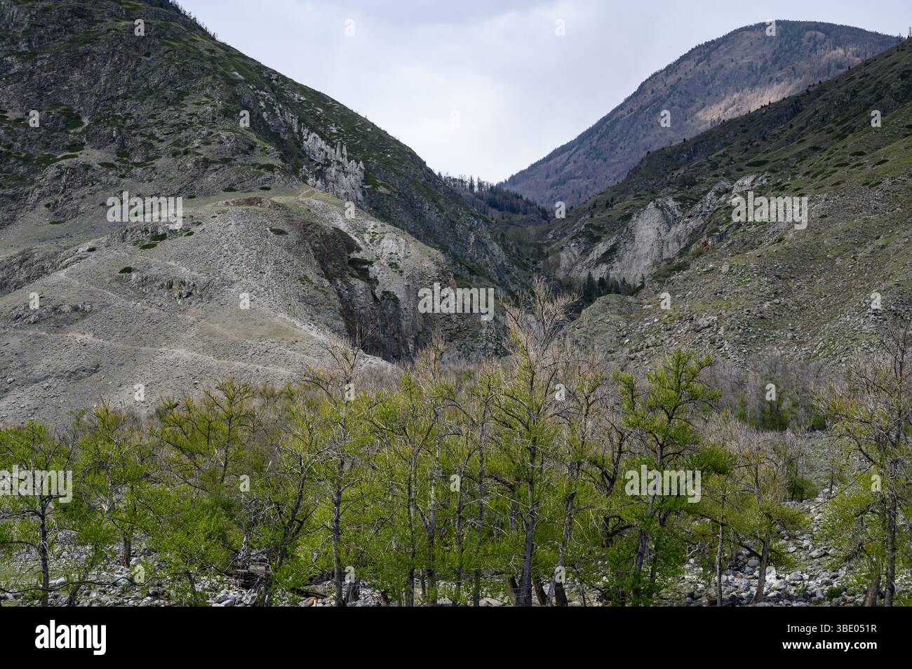 Dangerous, rugged terrain and jagged peaks. mysterious gorge and stone ...