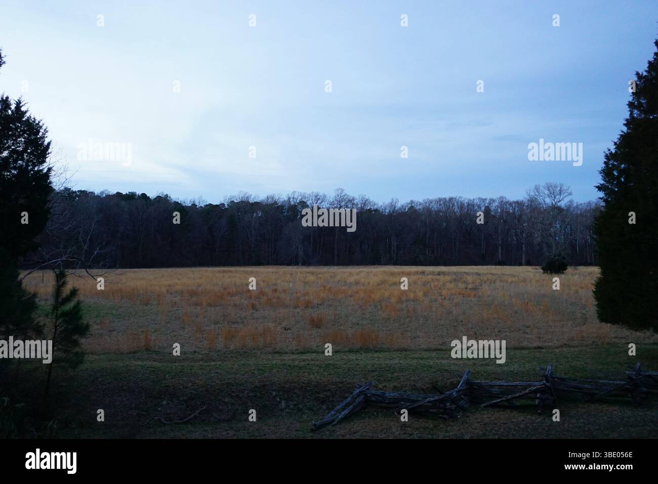 Surrender Field, final stop of Yorktown Battlefield Tour: clearing in a ...