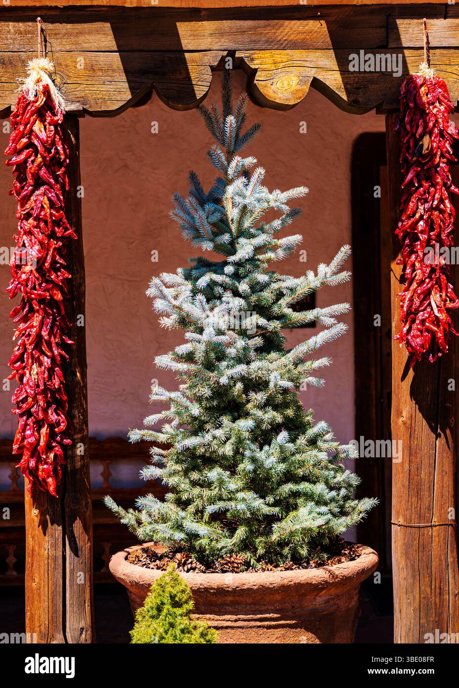 Colorful red chiles hang on display; famous Canyon Road; art ...
