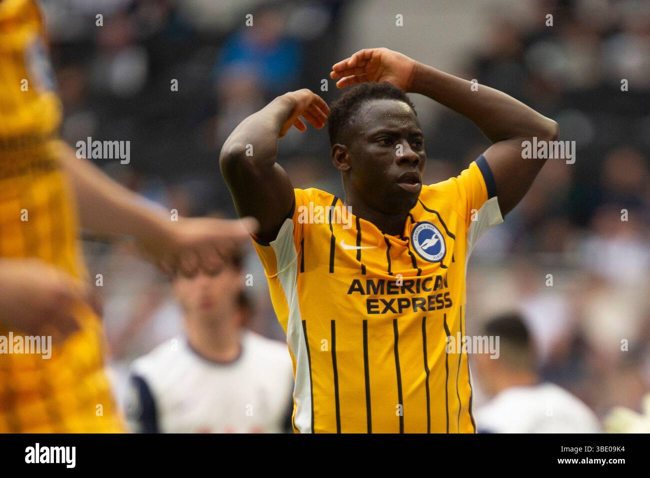 Yankuba Minteh of Brighton & Hove Albion during the Premier League ...