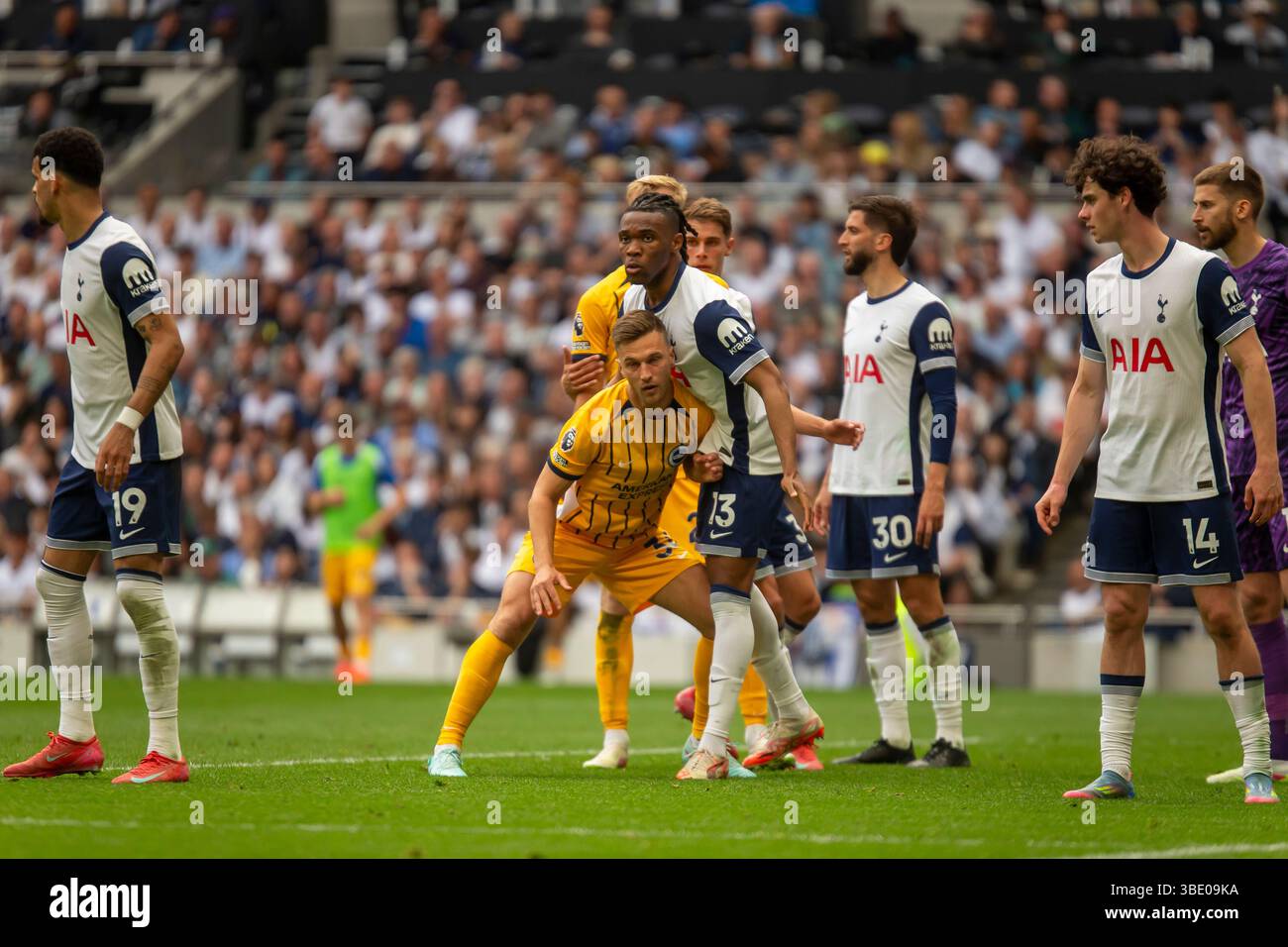 Joël Veltman of Brighton & Hove Albion blocks Destiny Udogie of ...