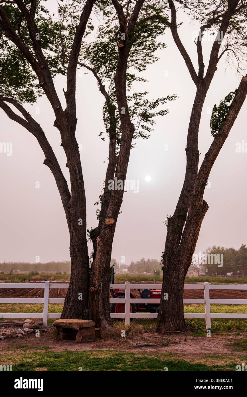 Sun obscured by dust; farm fields in severe dust storm; Roswell; New ...