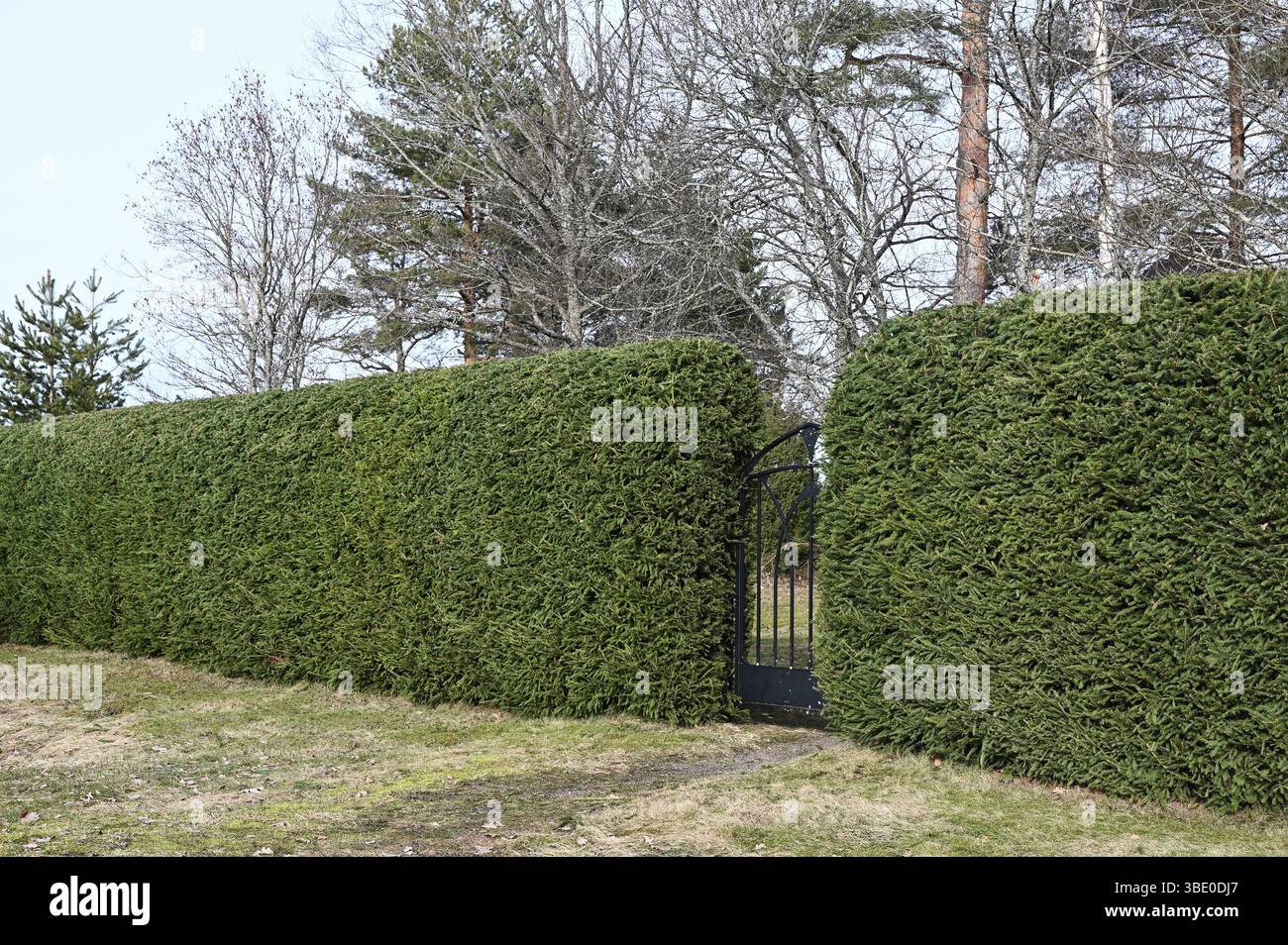 Opening in hedge hi-res stock photography and images - Alamy