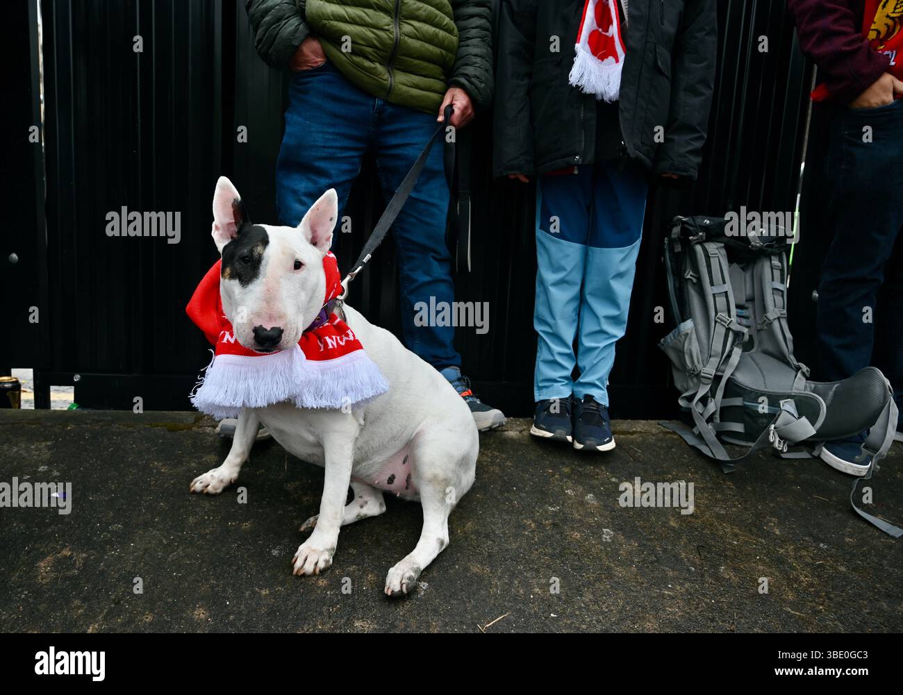 scenes from the liverpool football club victory parade after winning ...