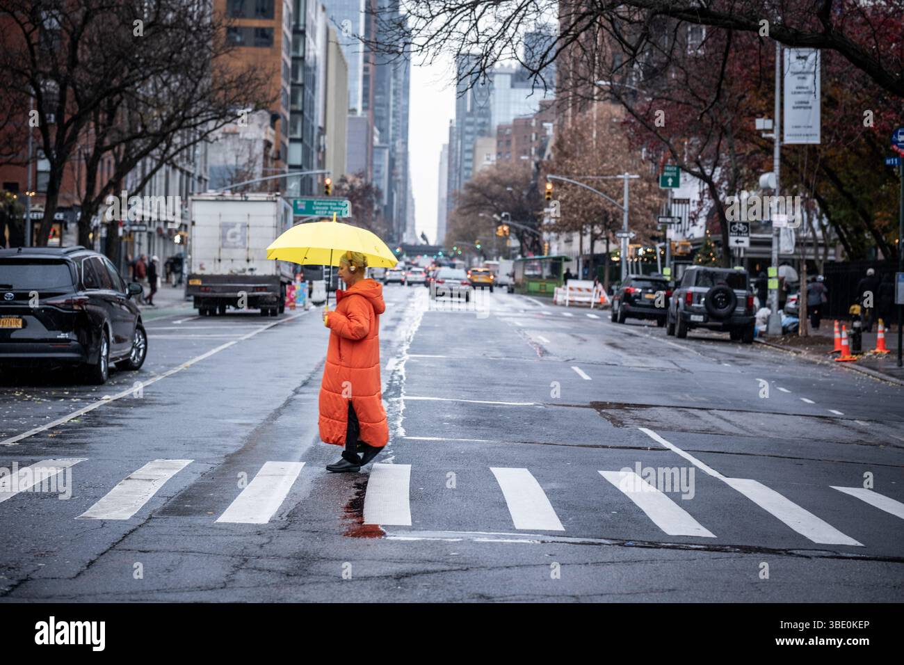 Detailed classic street scene of Manhattan, New York Stock Photo - Alamy