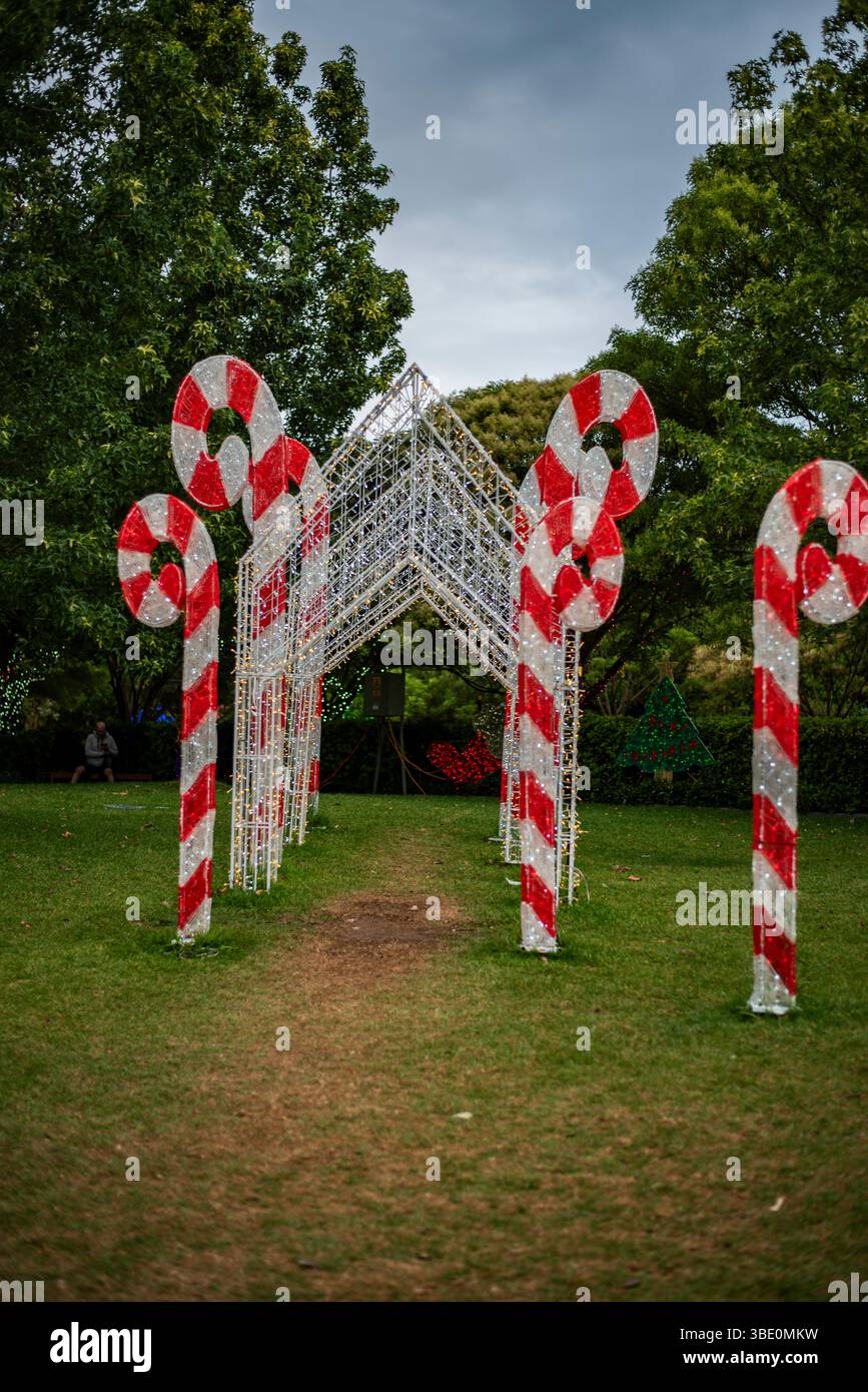 Christmas light display at Hunter Valley Garden Stock Photo - Alamy